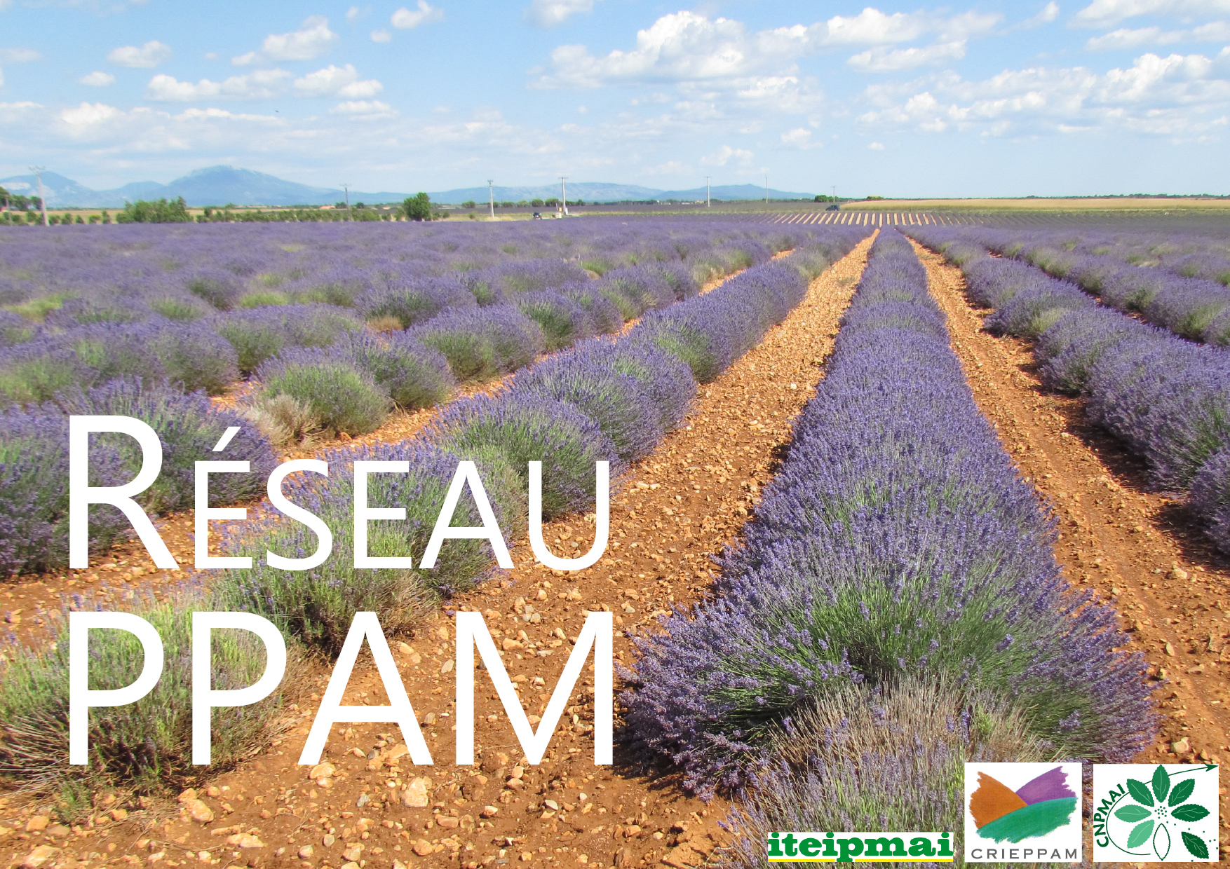 Les Commissions InterProfessionnelles du Réseau PPAM - Conservatoire ...