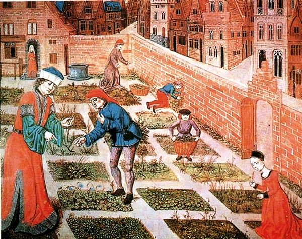jardin_medieval - Conservatoire National des Plantes