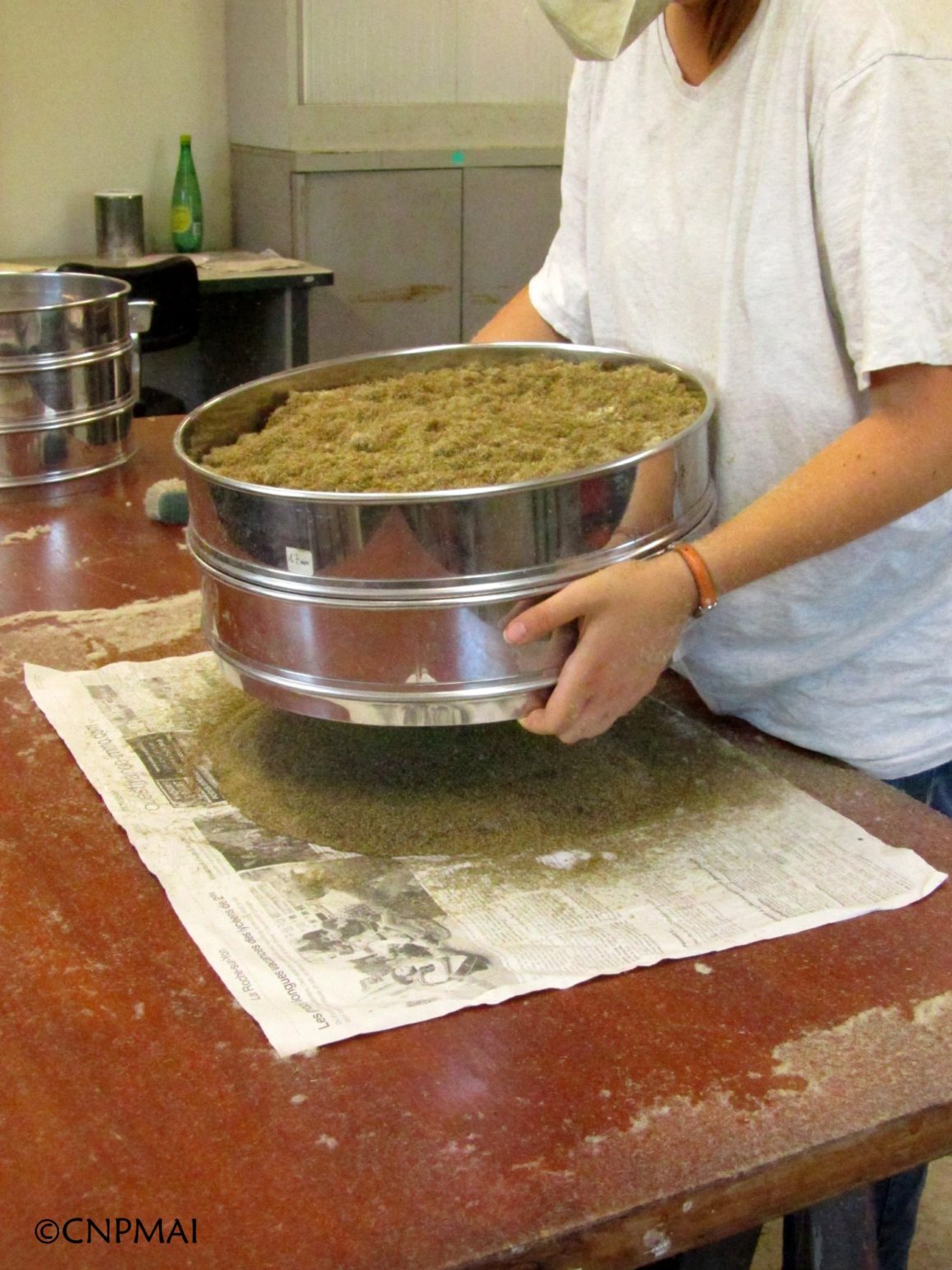 Triage dans les tamis - Conservatoire National des Plantes