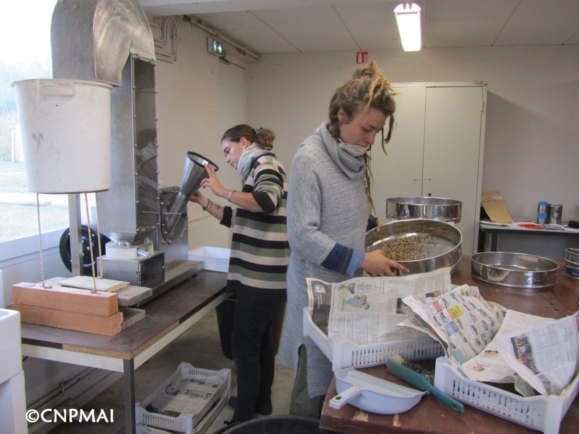 Le triage des semences avec les batteuses - Conservatoire National des ...