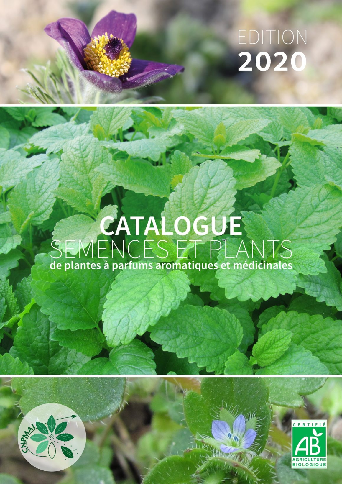 Edition 2020 du catalogue de vente de semences et plants ...