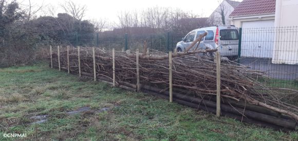 Une haie pour valoriser des déchets végétaux : la haie de Benjes ...